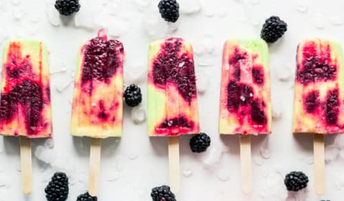 20 Adult Popsicle Recipes - ConservaMom