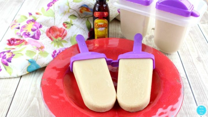 20 Adult Popsicle Recipes - ConservaMom