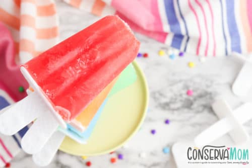 No Drip Popsicles - ConservaMom
