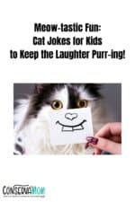 Meow-tastic Fun: Cat Jokes for Kids to Keep the Laughter Purr-ing ...