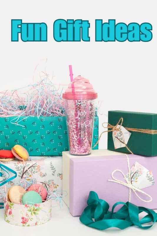 Fun Gift ideas - ConservaMom