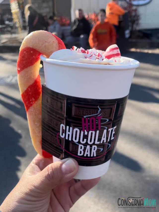 Christmas at HersheyPark - ConservaMom