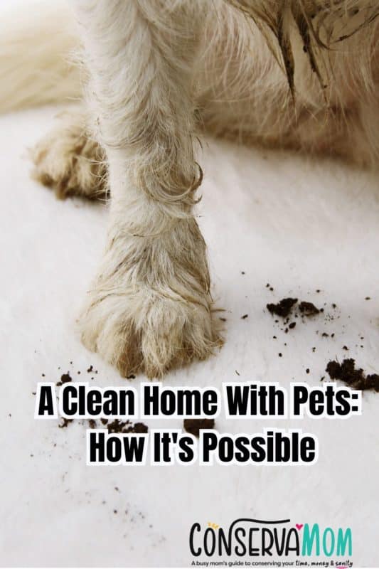A Clean Home With Pets: How It's Possible - ConservaMom