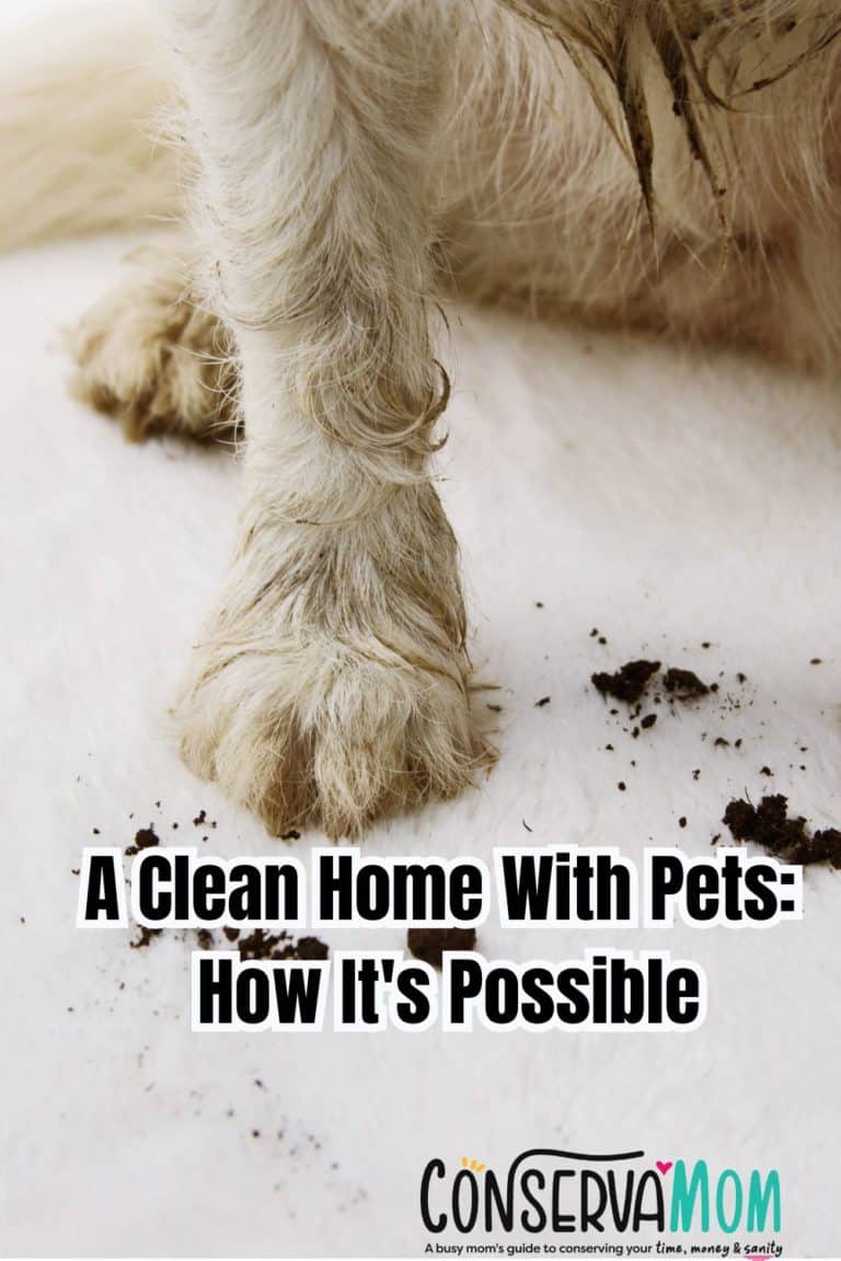 A Clean Home With Pets: How It's Possible - ConservaMom