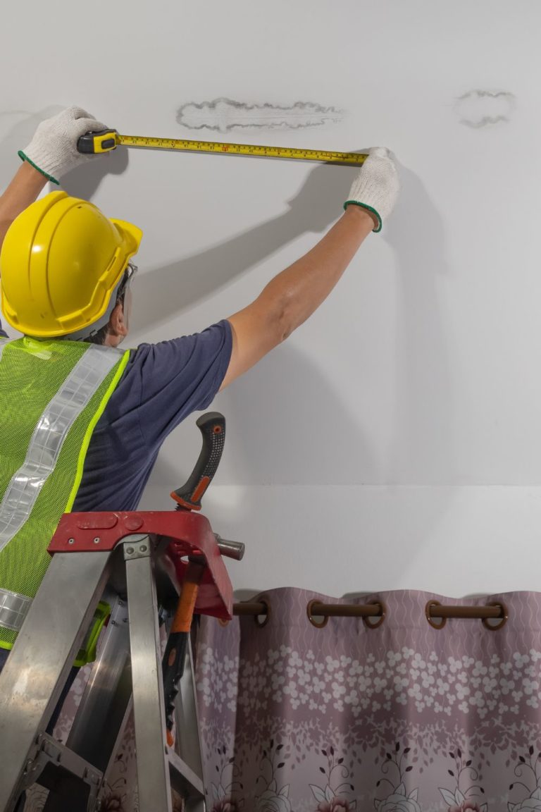 The Secret Life of Mold: Uncovering Its Hideouts in Your Home - ConservaMom