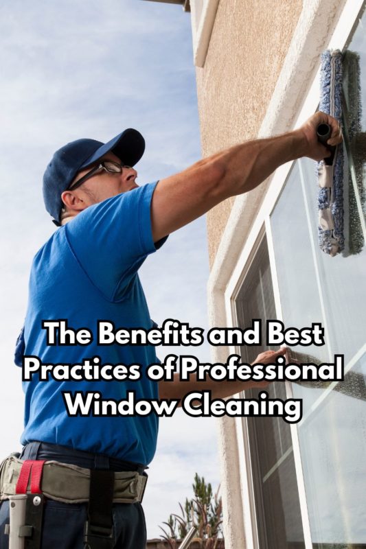 The Benefits and Best Practices of Professional Window Cleaning ...