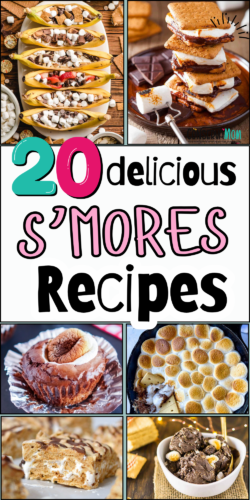20 Mouthwatering S’mores Recipes You Need to Try - ConservaMom