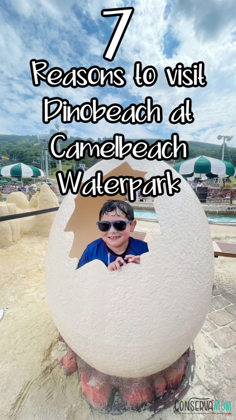 DinoBeach at Camelbeach Outdoor Waterpark at Camelback Resort - ConservaMom