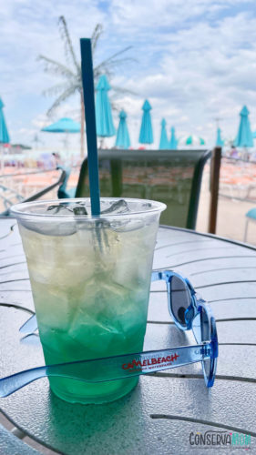 DinoBeach at Camelbeach Outdoor Waterpark at Camelback Resort - ConservaMom