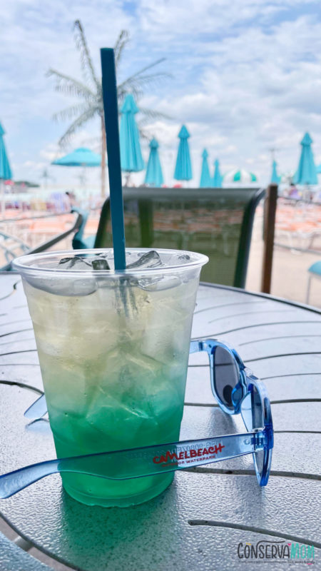 DinoBeach at Camelbeach Outdoor Waterpark at Camelback Resort - ConservaMom