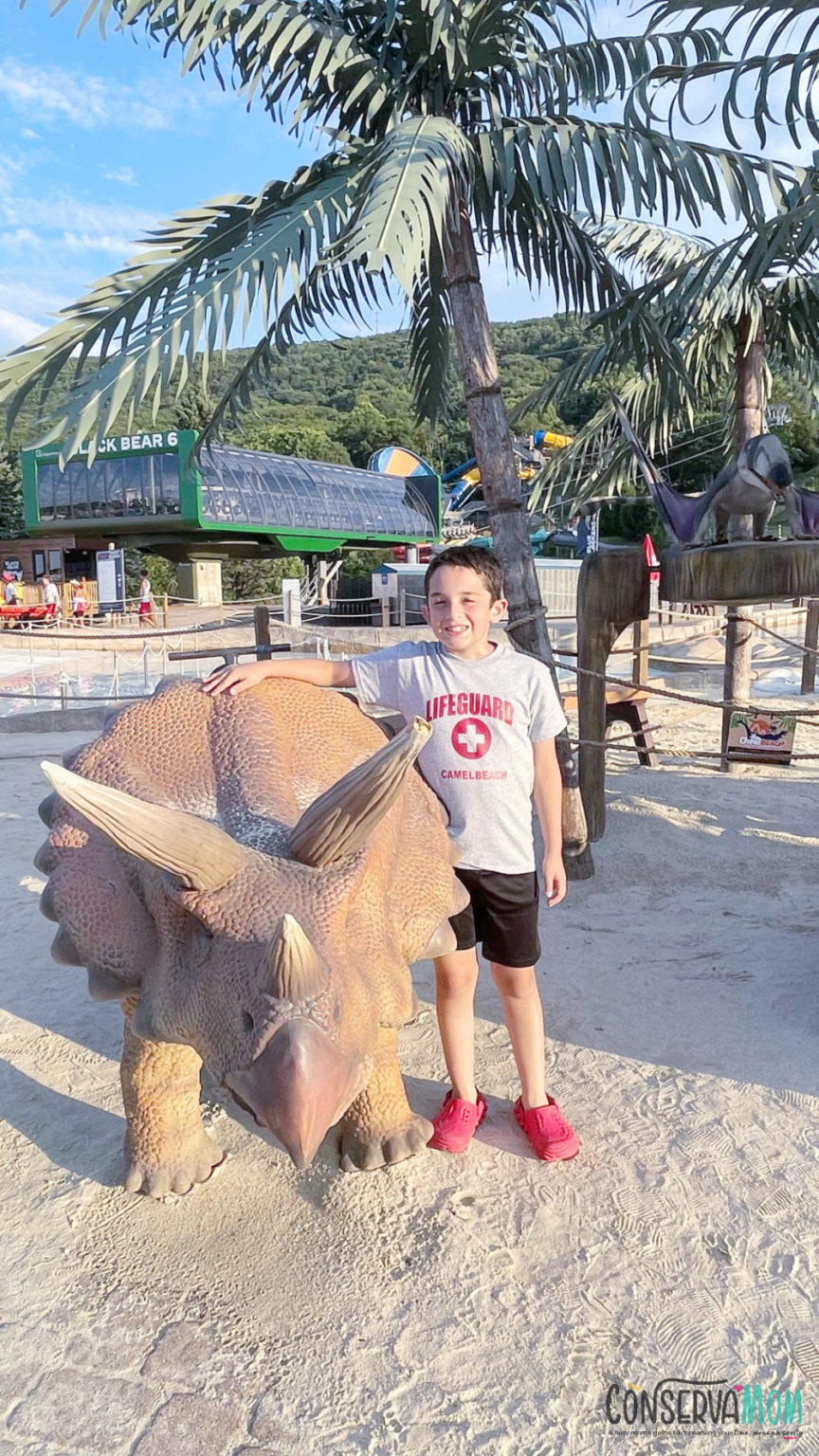 DinoBeach at Camelbeach Outdoor Waterpark at Camelback Resort - ConservaMom