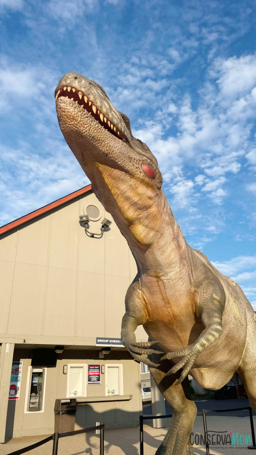 DinoBeach at Camelbeach Outdoor Waterpark at Camelback Resort - ConservaMom