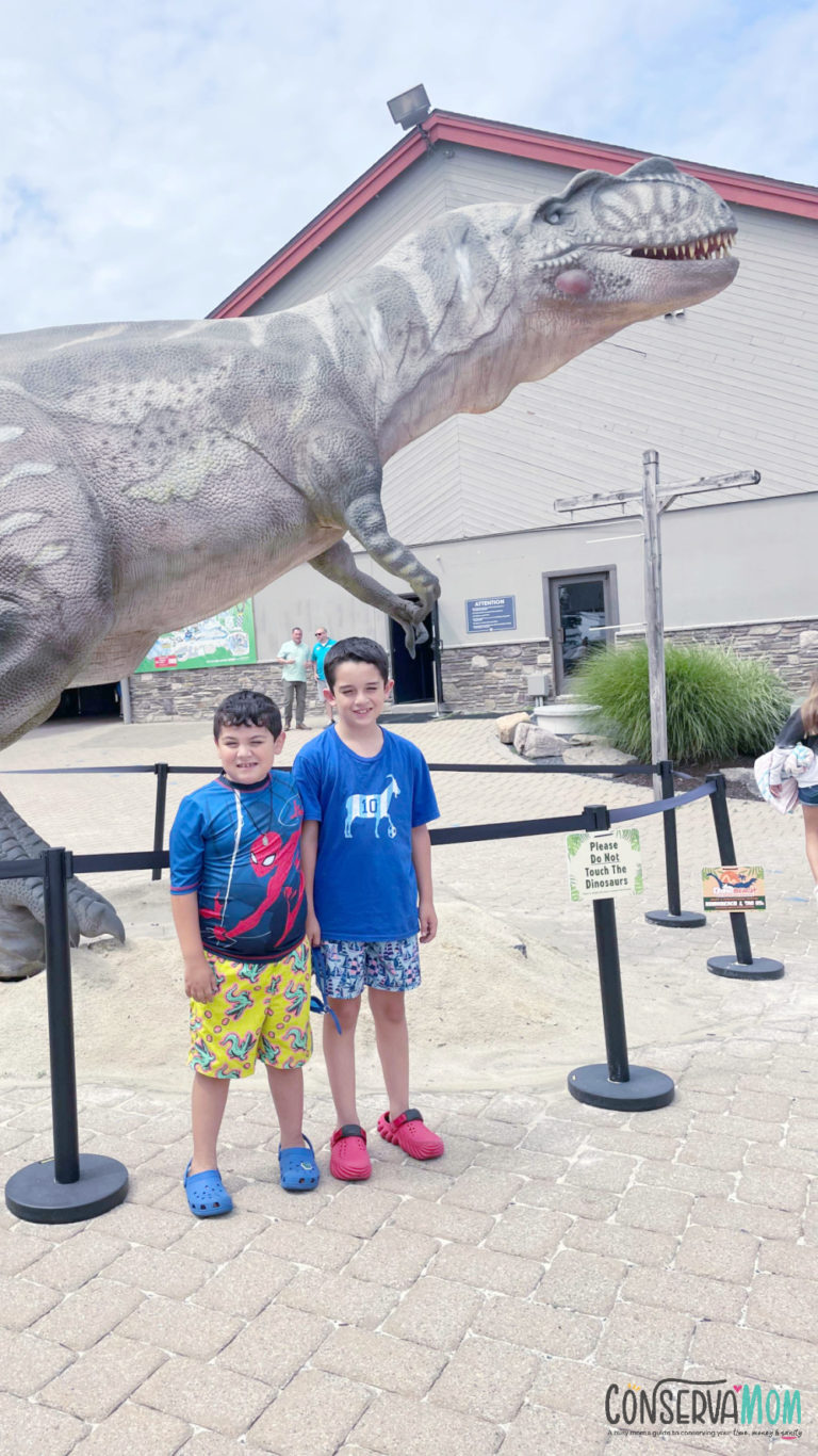 DinoBeach at Camelbeach Outdoor Waterpark at Camelback Resort - ConservaMom