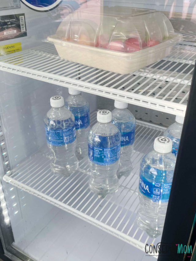 DinoBeach at Camelbeach Outdoor Waterpark at Camelback Resort - ConservaMom