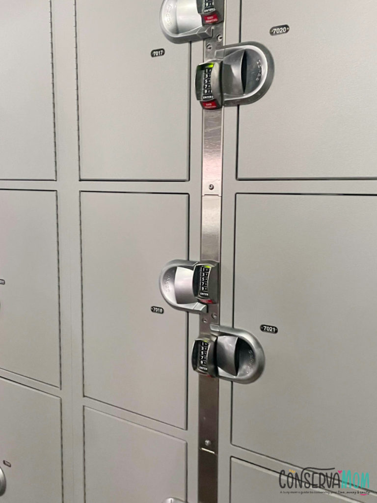 DinoBeach at Camelbeach Outdoor Waterpark at Camelback Resort - ConservaMom