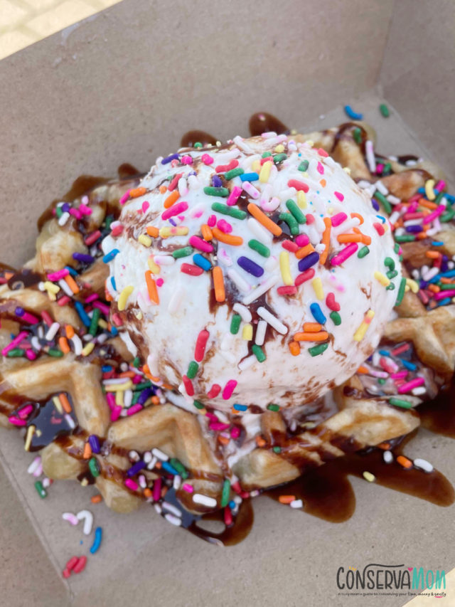 DinoBeach at Camelbeach Outdoor Waterpark at Camelback Resort - ConservaMom