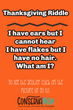35+ Thanksgiving Day Riddles and Jokes - ConservaMom