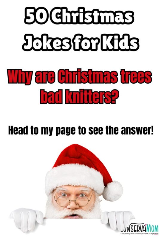 50 Unique and Funny Christmas Jokes for kids - ConservaMom