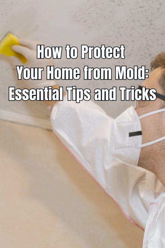 How to Protect Your Home from Mold: Essential Tips and Tricks - ConservaMom