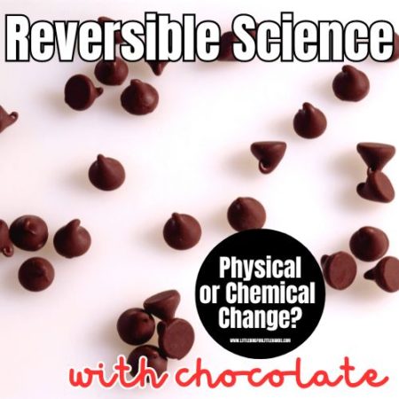 22 Wonderful & Creative Edible Science Experiments