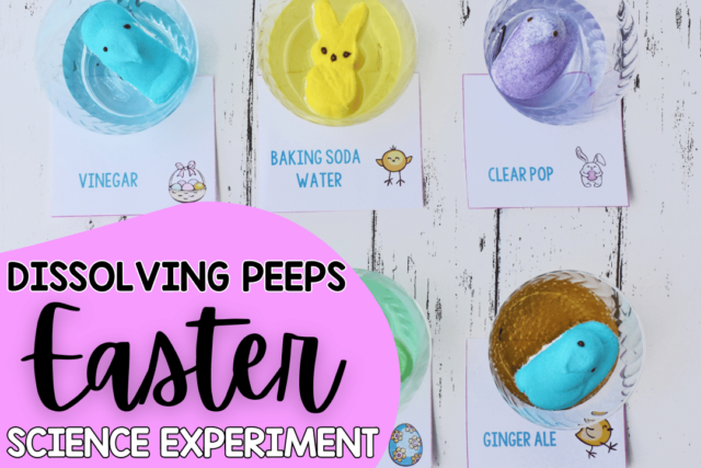 Egg-citing Easter Science Activities for Kids - ConservaMom