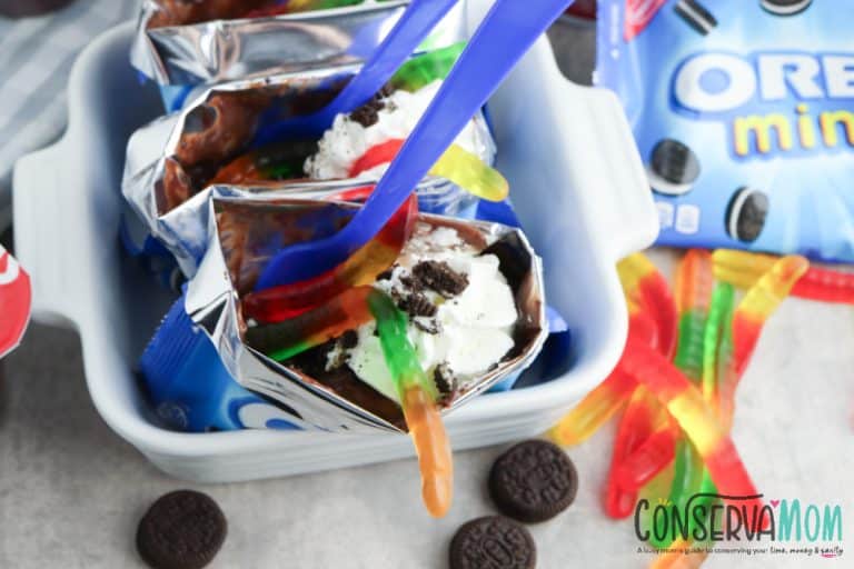 Walking Dirt and Worms Recipe - ConservaMom