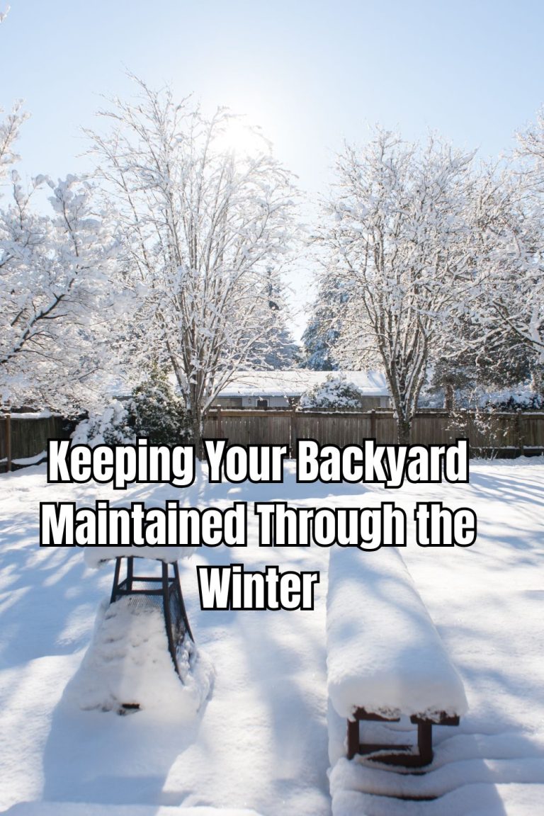 Keeping Your Backyard Maintained Through the Winter - ConservaMom