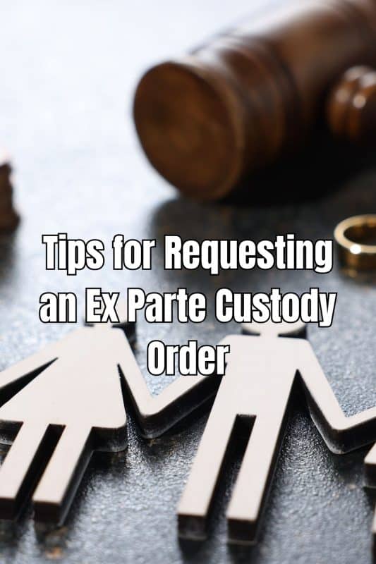 Tips for Requesting an Ex Parte Custody Order - ConservaMom